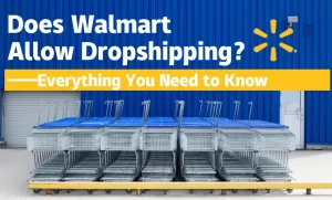 ¿Walmart permite el dropshipping? Todo lo que necesita saber - DropSure ...